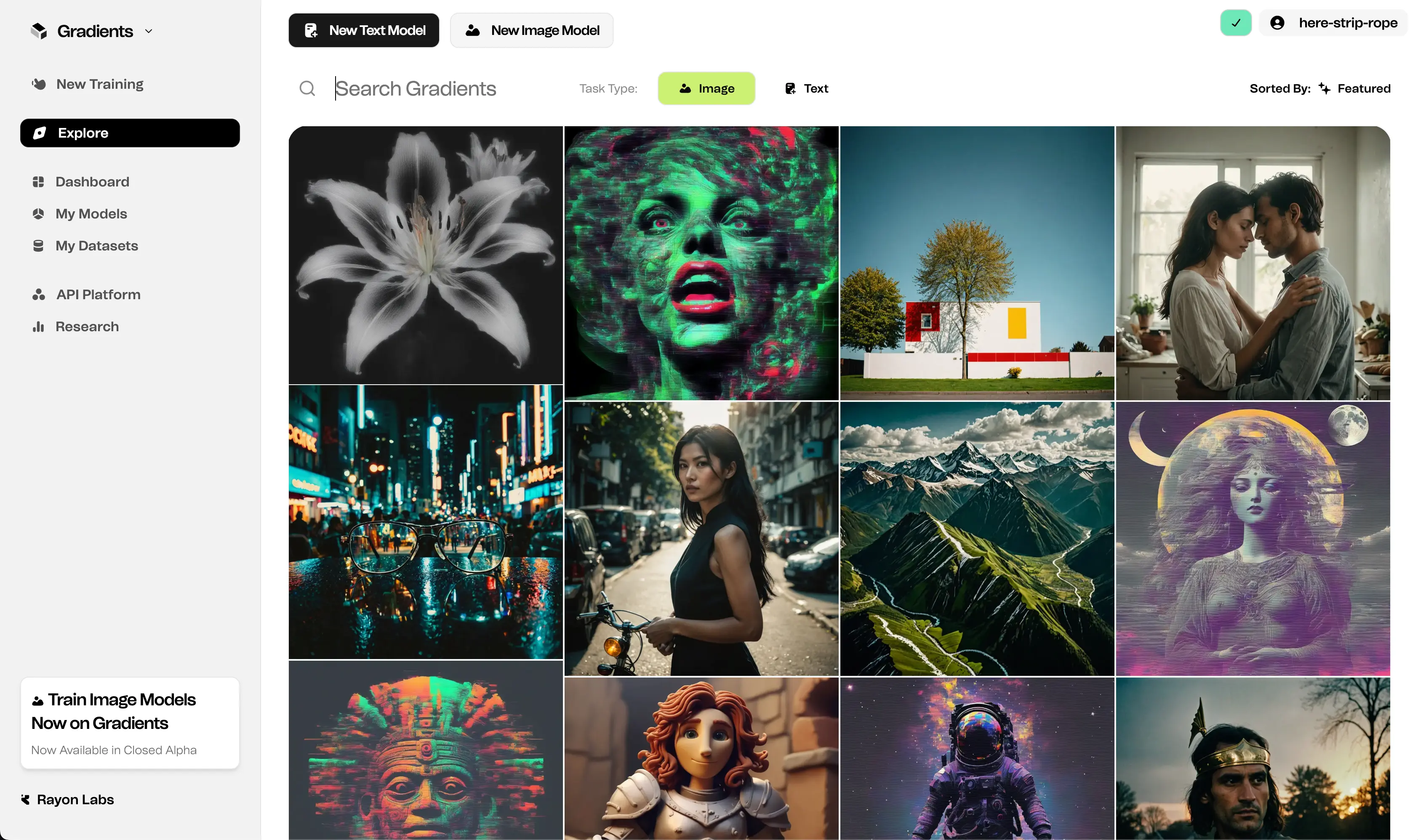 Rayon Labs | The Future of Decentralized AI